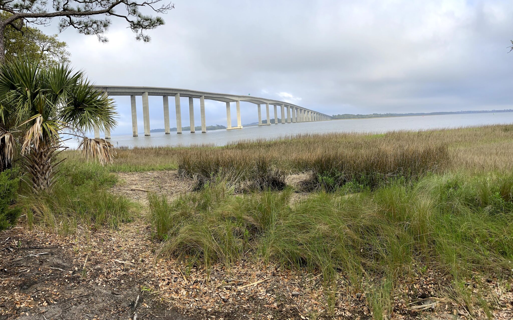 What We Love About Daniel Island - Interior Designer Charleston, Kiawah ...